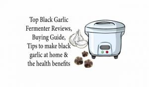Best Black Garlic Fermenter Machines in 2025 (Reviews & Buying Tips)